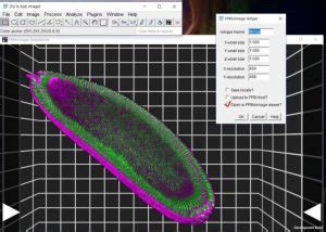 For All You FiJi ImageJ Users There Is A New D Viewer Coming Danish BioImaging Network