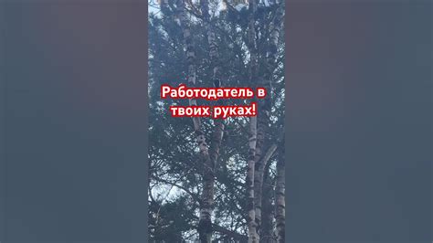 Работаешь без оформления Расскажу как получить деньги с работодателя с юристом или без Youtube