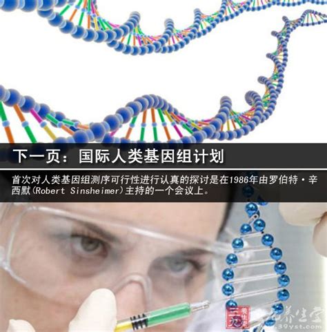 人类基因谱系 基因 基因图 第2页 大山谷图库