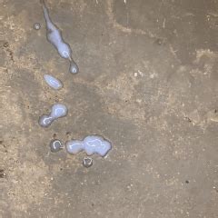 Sperm Decompose 1 Nude Pics XHamster