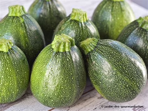 Courgettes De Nice Farcies Jardin Des GourmandsJardin Des Gourmands