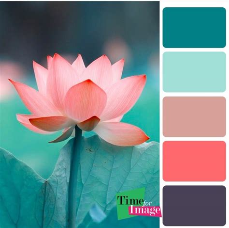 Pin By Весёлые сказки On Цветовая палитра Color Palette Design Color Palette Challenge Color