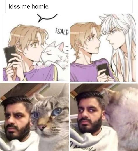 Anime Meme Funny Anime Pics Otaku Anime Some Funny Jokes Stupid