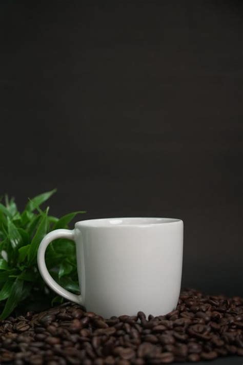 검은색 배경 고립된 머그잔 광택 표면 깨우다 꾸미다양조하다 단색 배경 따뜻한 음료 뜨거운 음료 용기 마시는 것 모닝 커피 미니멀리스트 바리스타 베르데