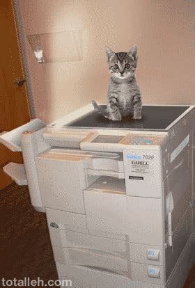 Releases Kefniark Unitybarcodescanner Github