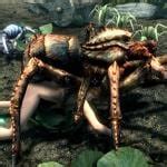 Sexlab Light Se Adult Mods Loverslab