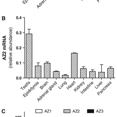 Quantitative Real Time Rt Pcr Analysis Of Antizyme Inhibitors In