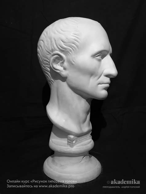 Цезарь Гипсовые головы Фото референсы