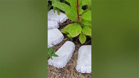 Декоративный камень своими руками из цемента#diy #artecomcimento # ...