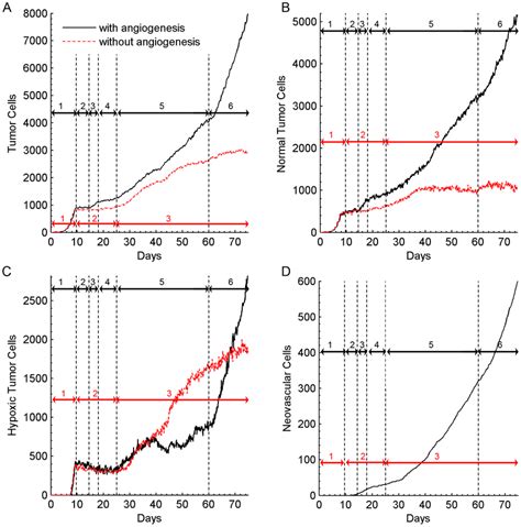 Growth Curves For Simulated Tumors With Black And Without Red