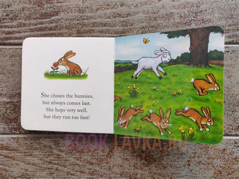 Axel Scheffler Pocket Library купить в интернет магазине Booklavka
