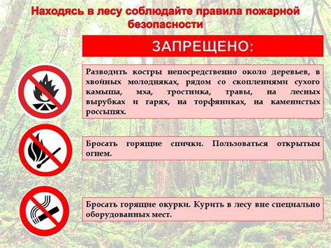 Правила пожарной безопасности и поведения в лесах - презентация онлайн