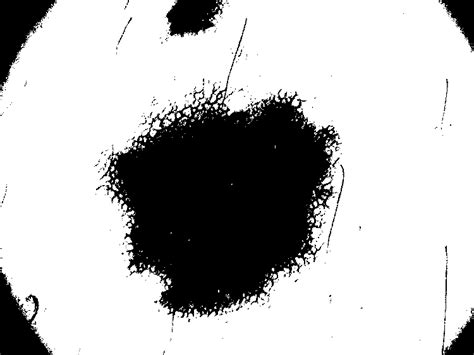 Python How To Discard The Edges Of An Image Using Opencv Stack Overflow