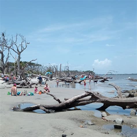 Your Guide To Visiting Driftwood Beach On Jekyll Island Lighthouse