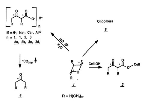 Possible Akd Reaction Products Produced During The Sizing Of Paper Download Scientific Diagram
