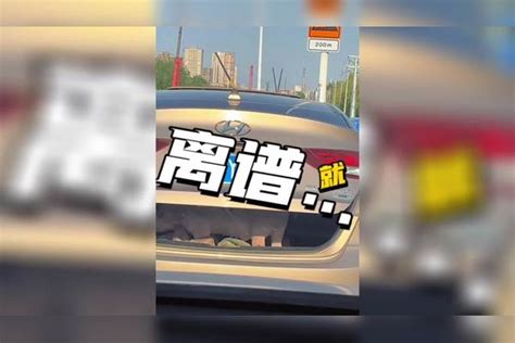 猪猪趁主人不备逃出后备箱，被主人吊着后腿抓回主人逃出后腿