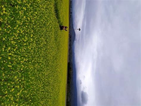 Pytorch的初始化 知乎