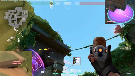 Killjoy Lotus Bookstack