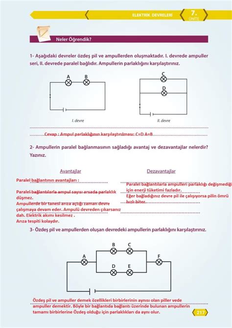 7 Sınıf Fen Bilimleri Meb Yayınları Sayfa 217 Cevapları