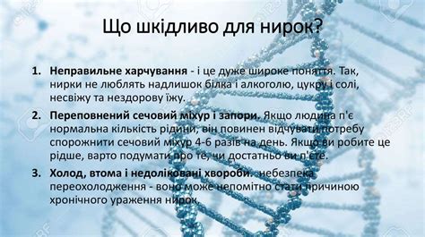 Захворювання нирок та їх профілактика презентация онлайн
