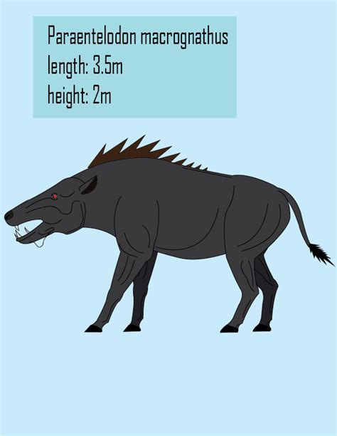 Paraentelodon