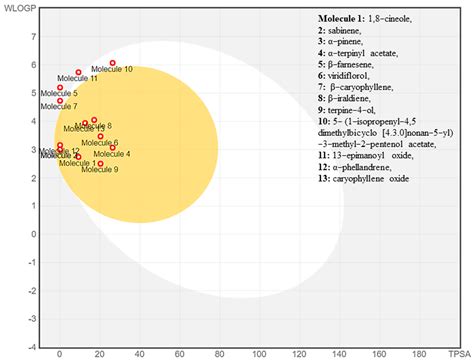 Antioxidants Free Full Text Phytochemical Profile In Vitro Bioactivity Evaluation In