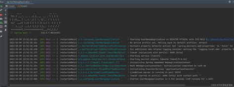 Spring Boot 项目后端端口在哪 Springboot搭建后端mob6454cc714ea1的技术博客51cto博客