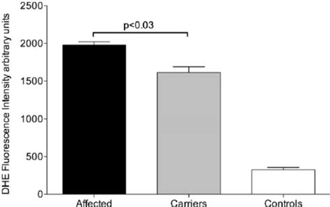 Reactive Oxygen Species Measurement Using Dihydroethidium Dhe