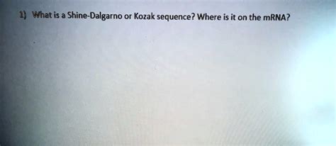 Solved What Is A Shine Dalgarno Or Kozak Sequence Where Is It On The