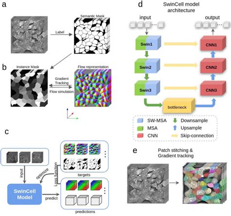 Microscopy Preprints Bioimage Analysis FocalPlane