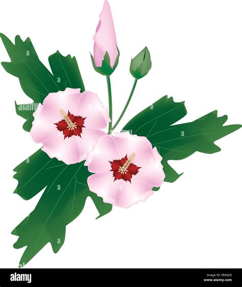 Clipart Bunga Raya