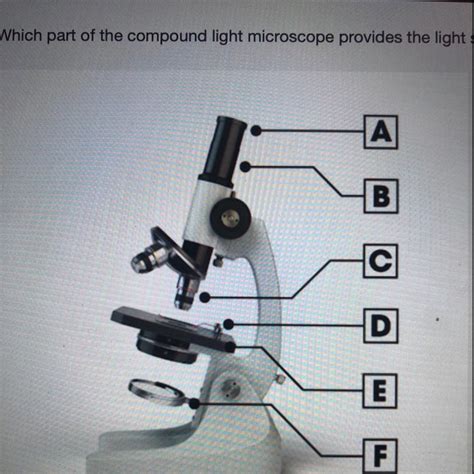 Compound Light Microscope Images