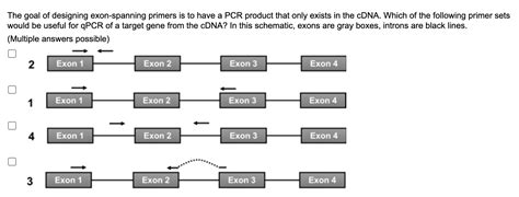 Solved The Goal Of Designing Exon Spanning Primers Is To