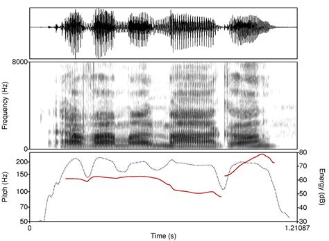 K J Kohler Timing And Communicative Functions Of Pitch Contours