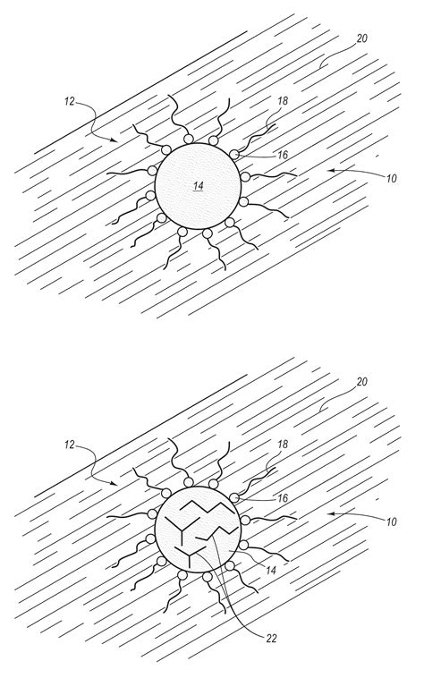 Preparation Of A Carbon Nanomaterial Using A Reverse Microemulsion