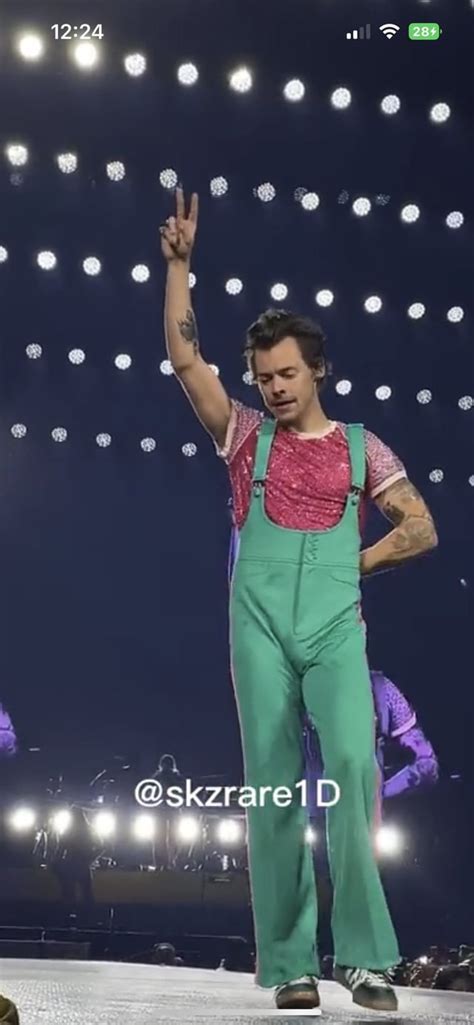 Harry Styles Rcelebritybulge