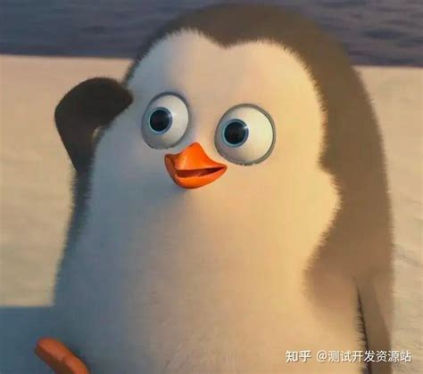 项目实战JavaScript利用正则表达式进行格式校验附源代码 知乎