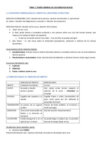 Tema Teoria General De Los Derechos Reales Pdf