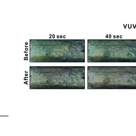 Dose Dependency And Optimization Of Vuv Mediated Organic Decomposition