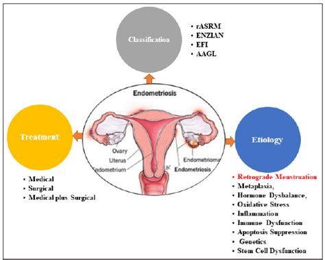 A Primer On Clinical Classification And Pathophysiology Of