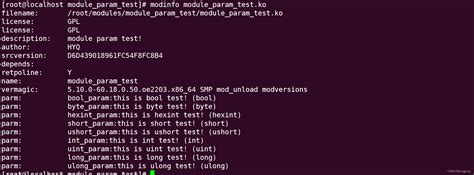 linux内核模块参数函数module param测试 加载内核模块时带参数 csdn博客