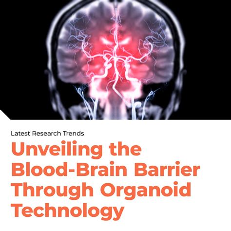 Lambda Biologics On Linkedin 🧠advancements In Brain Research