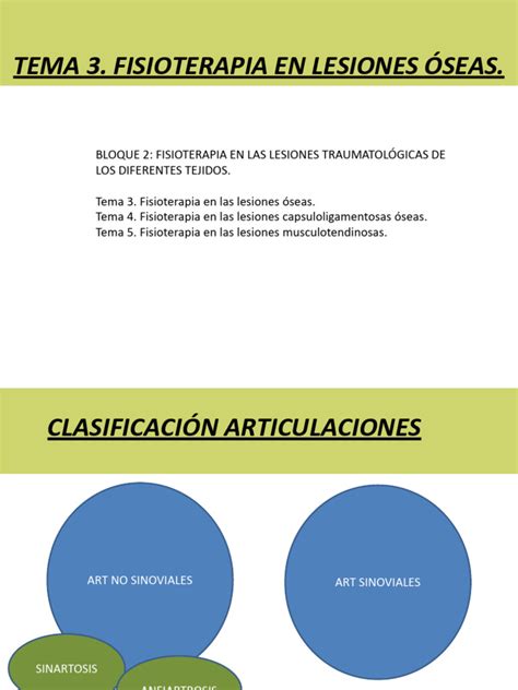 Tema 3 Lesiones Óseas Pdf Hueso Lesión