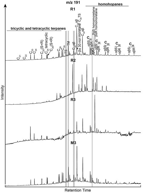 Mz 191 Ion Chromatograms Of The Saturated Hydrocarbon Fraction Of The