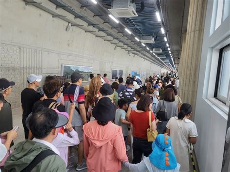제주 크루즈 방문객 64만명1년새 6배