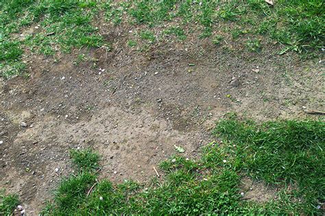 地面の商用利用可フリー写真素材377 フォトック