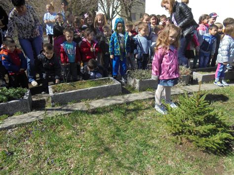 ЕКОУЧИЛИЩА САЙТ НА ДГ КОНЧЕ ВИХРОГОНЧЕ ГРАД ШУМЕН