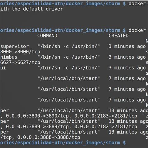 4 Inicio Del Clúster De Apache Storm Download Scientific Diagram