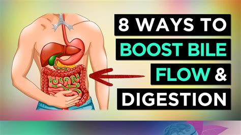 8 Ways To Improve Bile Flow Better Digestion Youtube