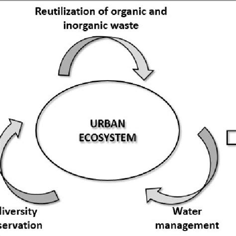 Schematic Diagram Of The Dynamics Of Urban Agriculture Showing Inputs